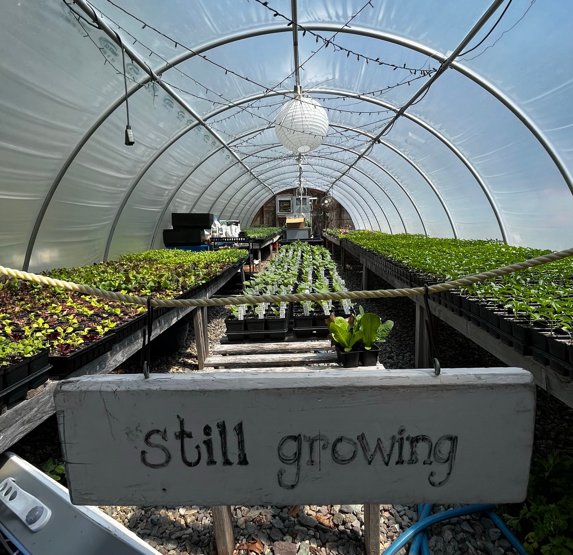 A Visit To Blue Moon Farm – Good Morning Gloucester