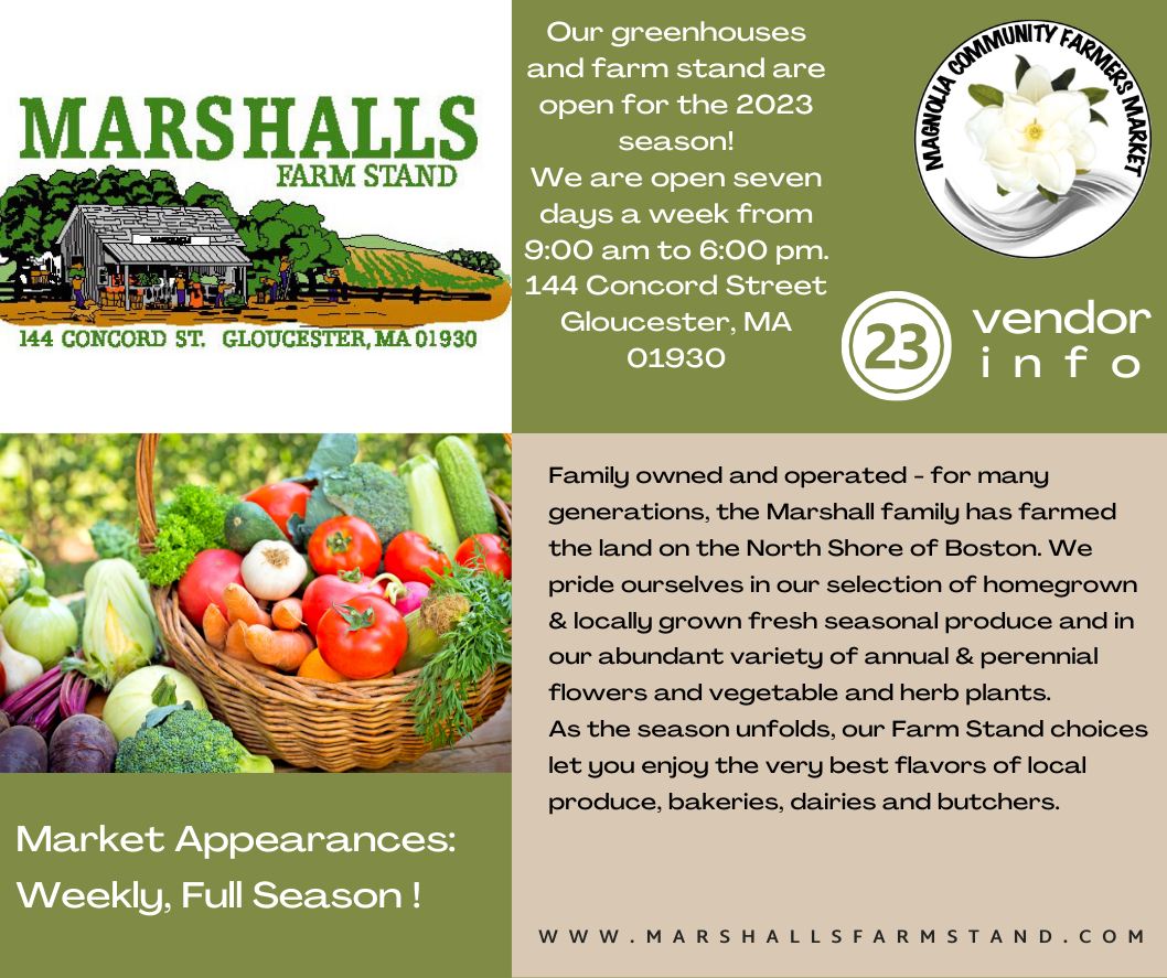 Magnolia Farmers Market – Good Morning Gloucester