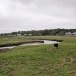Greenhead Flies: New trap boxes placed in the Good Harbor Beach marsh ...
