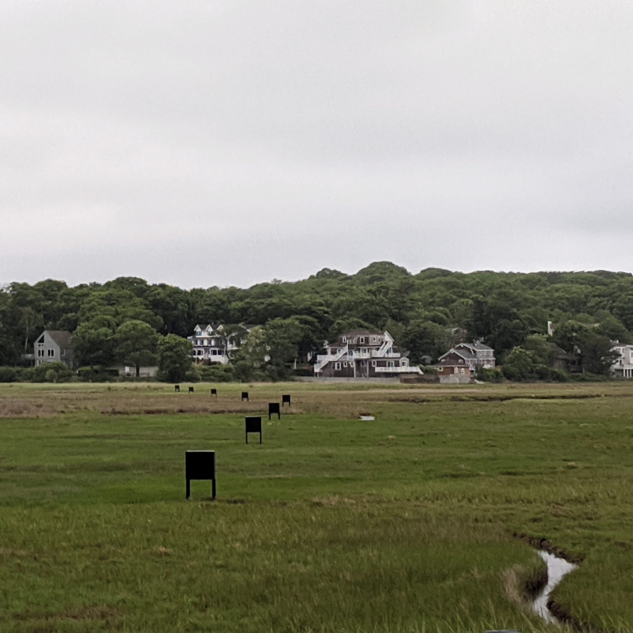 Greenhead Flies: New trap boxes placed in the Good Harbor Beach marsh ...