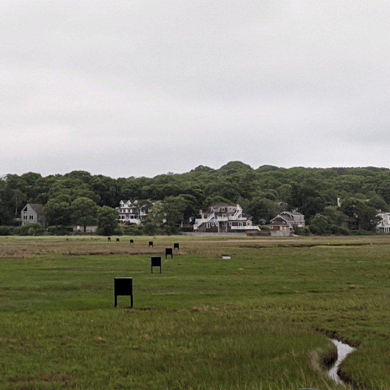 Greenhead Flies: New trap boxes placed in the Good Harbor Beach marsh ...