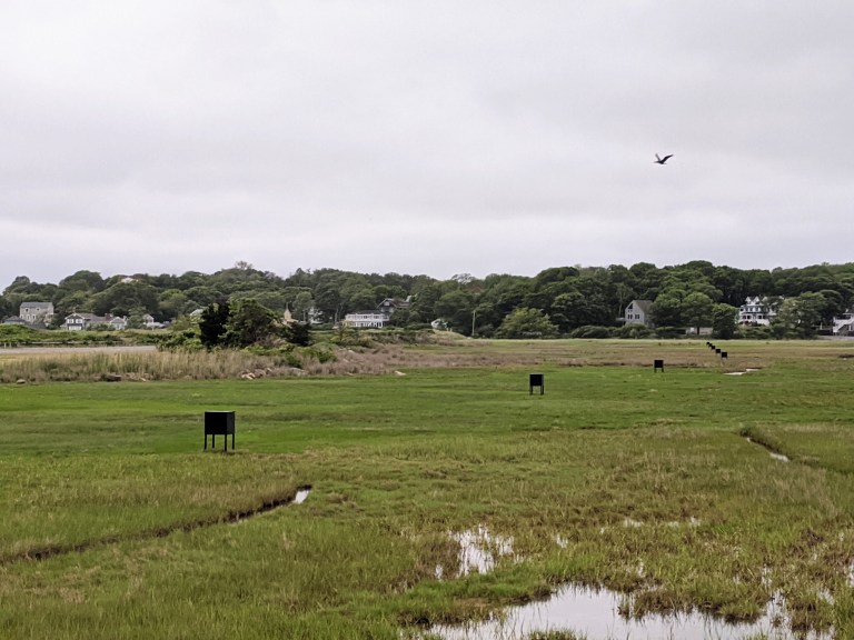 Greenhead Flies: New trap boxes placed in the Good Harbor Beach marsh ...