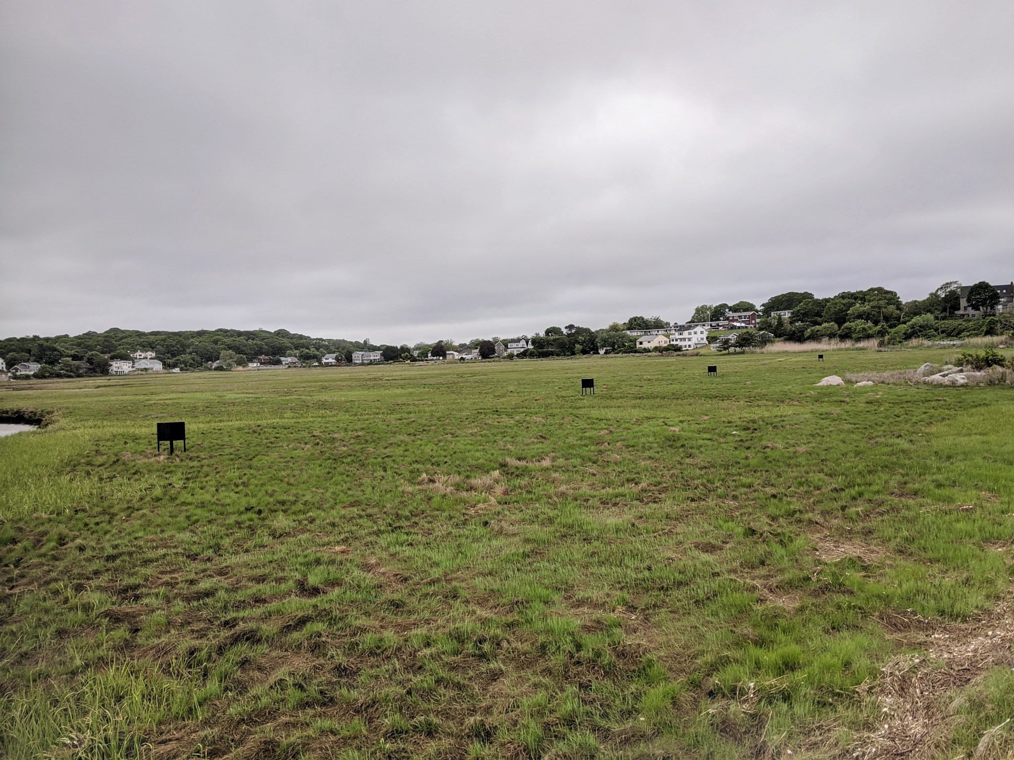 Greenhead Flies: New trap boxes placed in the Good Harbor Beach marsh ...
