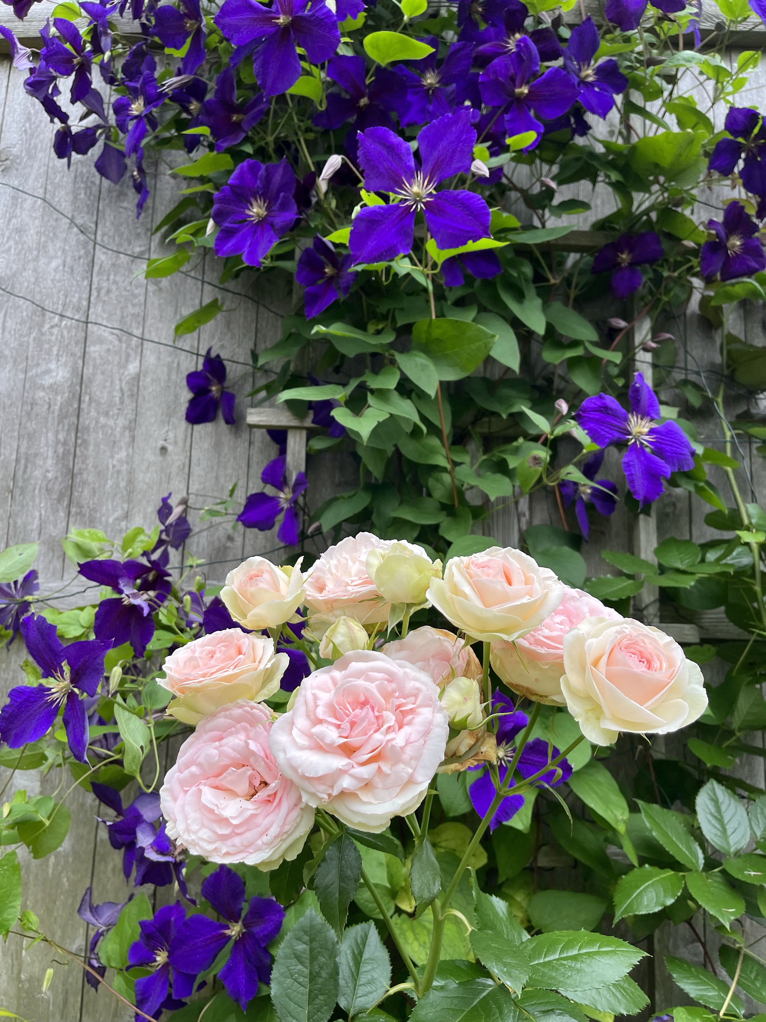 On a bright overcast day – Good Morning Gloucester