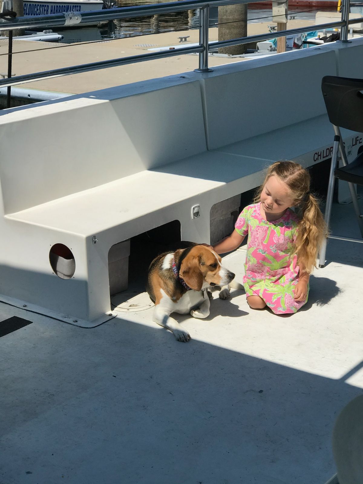 Stevie Douglass SUBMITS #BOATDOG “Bella” SUBMIT YOUR BOAT DOG PHOTO ...