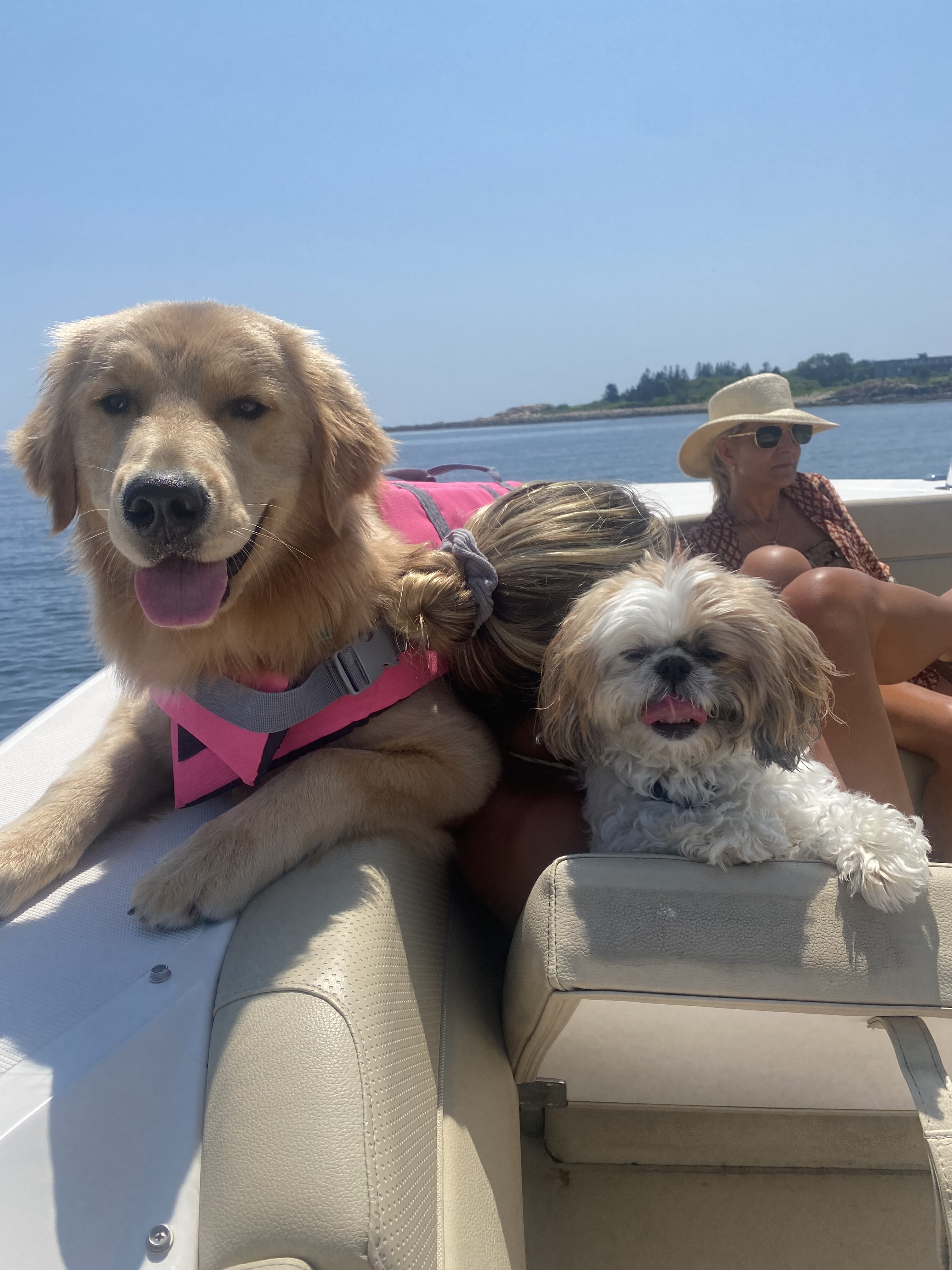 Peter Scala and Family SUBMIT #boatdogs Henley (Golden) and Bruno ...