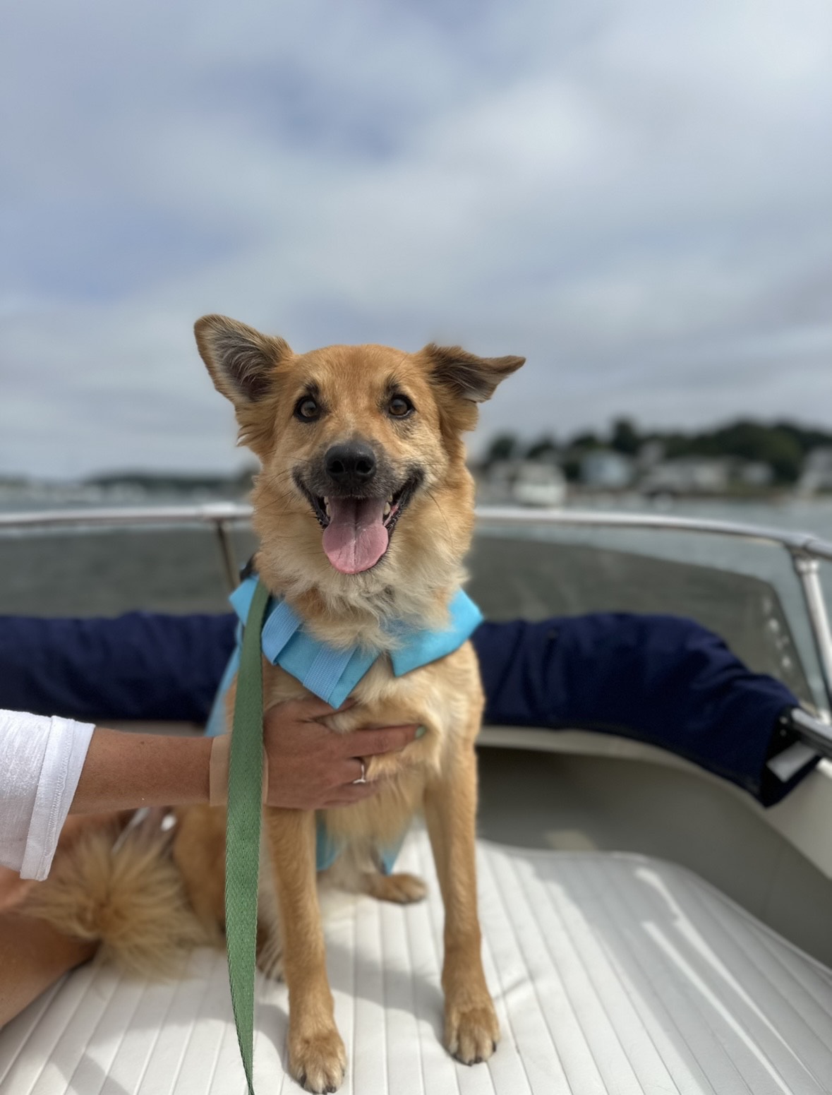 Joe and Beth Shafner SUBMIT #BOATDOG “Goose” SUBMIT YOUR BOAT DOG PHOTO ...