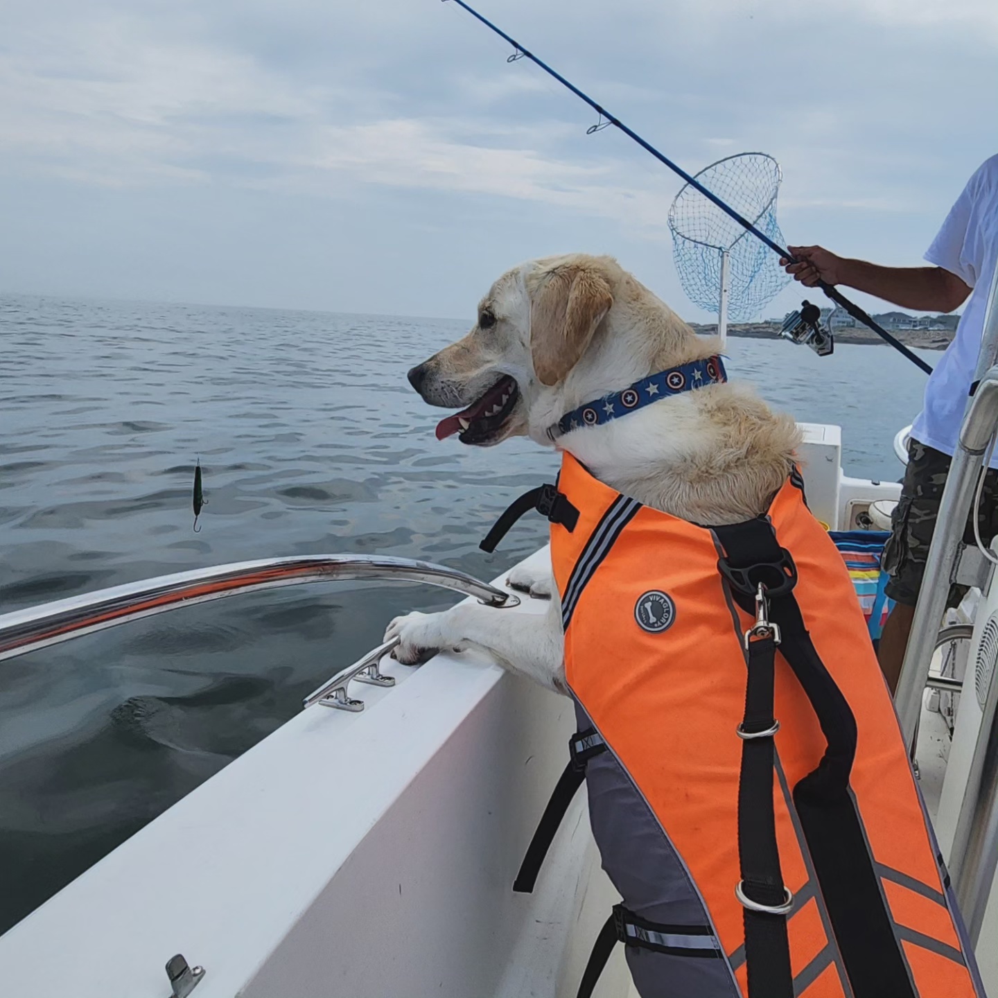 Mike and Rachael Grossi SUBMIT #BOATDOG “Grady Grossi” SUBMIT YOUR BOAT ...