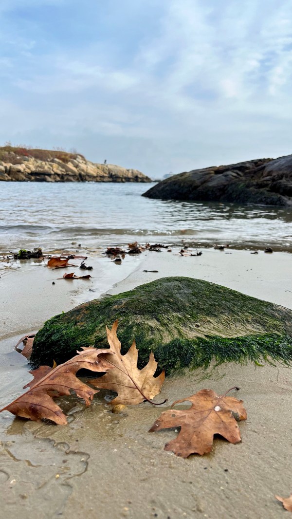 A Visit To Half Moon Beach – Good Morning Gloucester