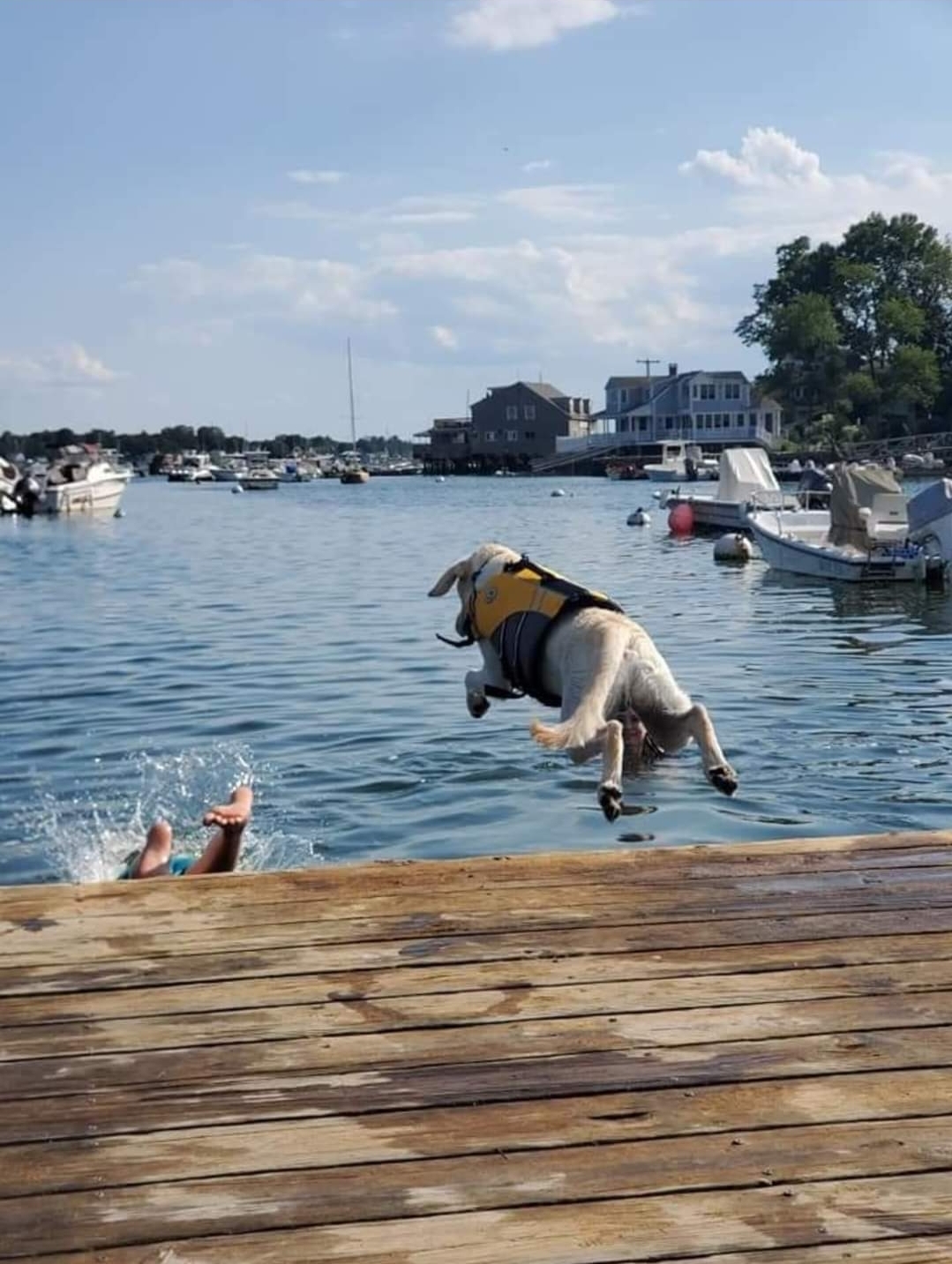 Mike and Rachael Grossi SUBMIT #BOATDOG “Grady Grossi” SUBMIT YOUR BOAT ...