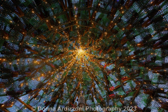 Inside and outside Gloucester’s stunning Lobster Trap Tree – Good ...