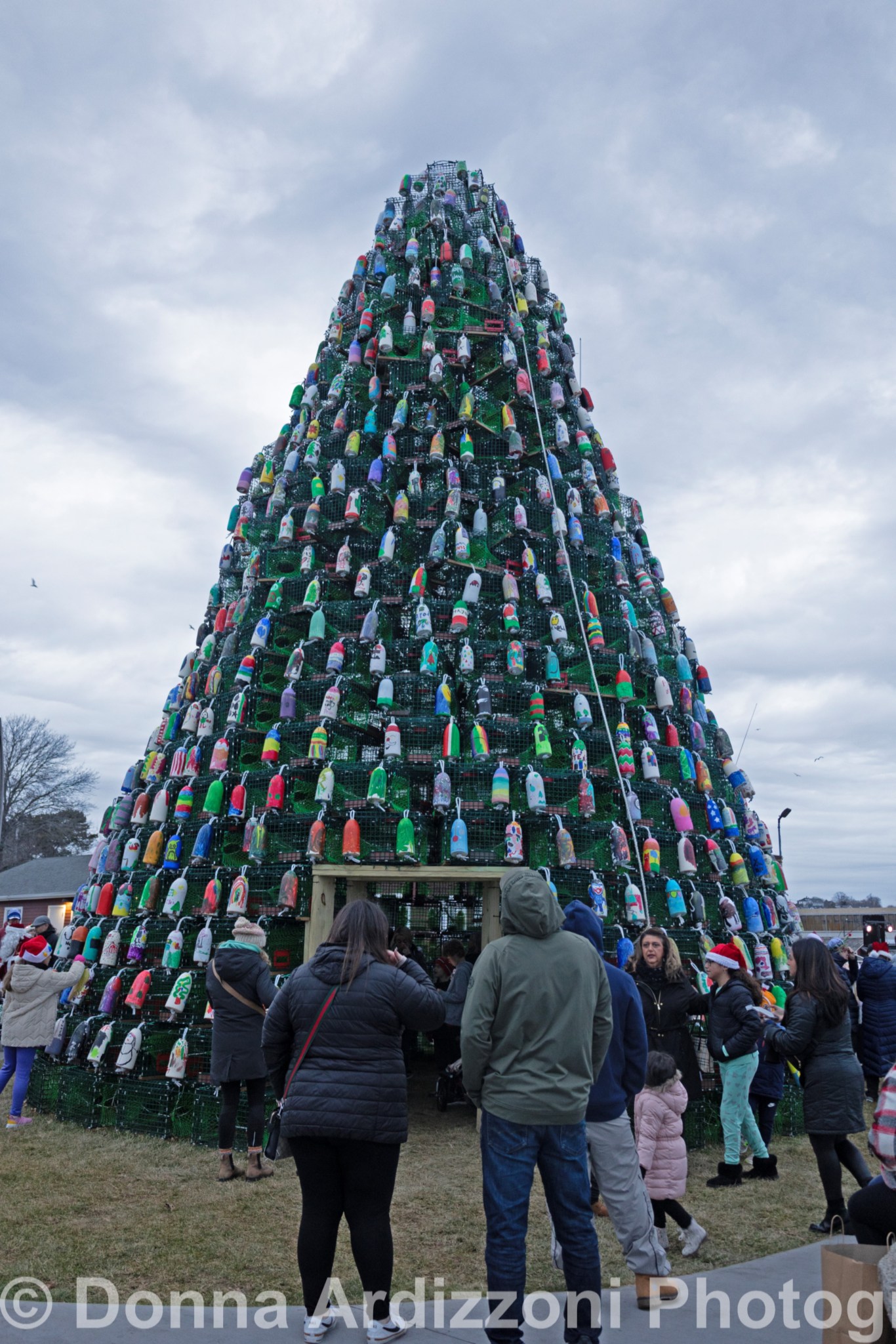 Stunning Lobster Trap Tree – Good Morning Gloucester