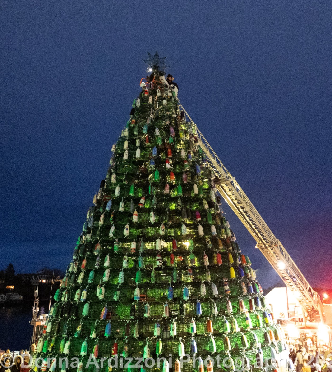 Stunning Lobster Trap Tree – Good Morning Gloucester