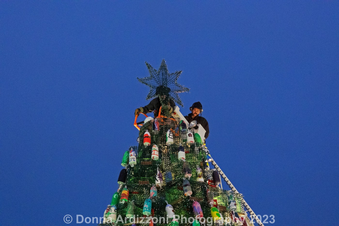 Stunning Lobster Trap Tree – Good Morning Gloucester