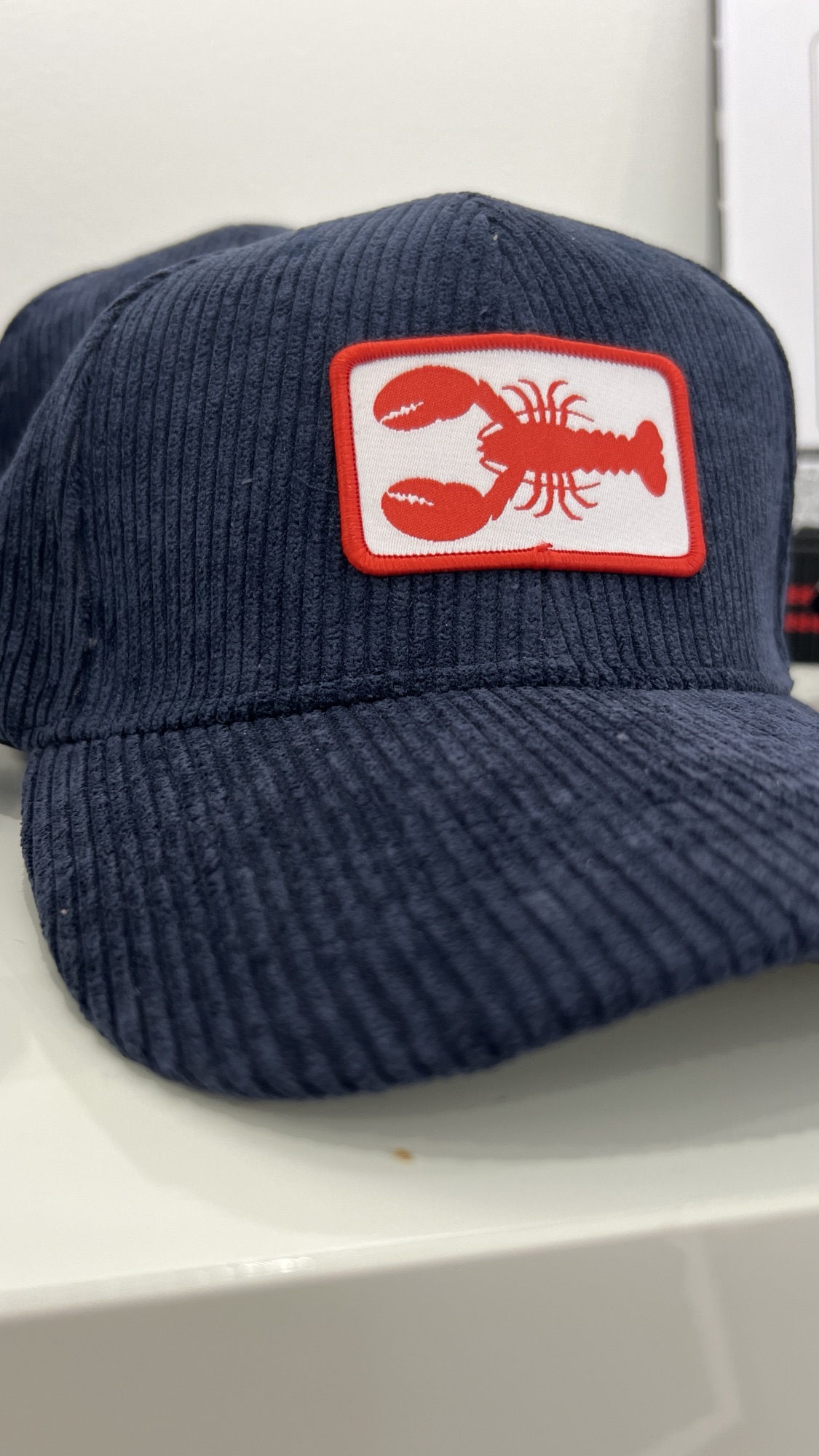 New Warm Corduroy Lobster Cap and Thirsty Seagull Caps Just Dropped ...