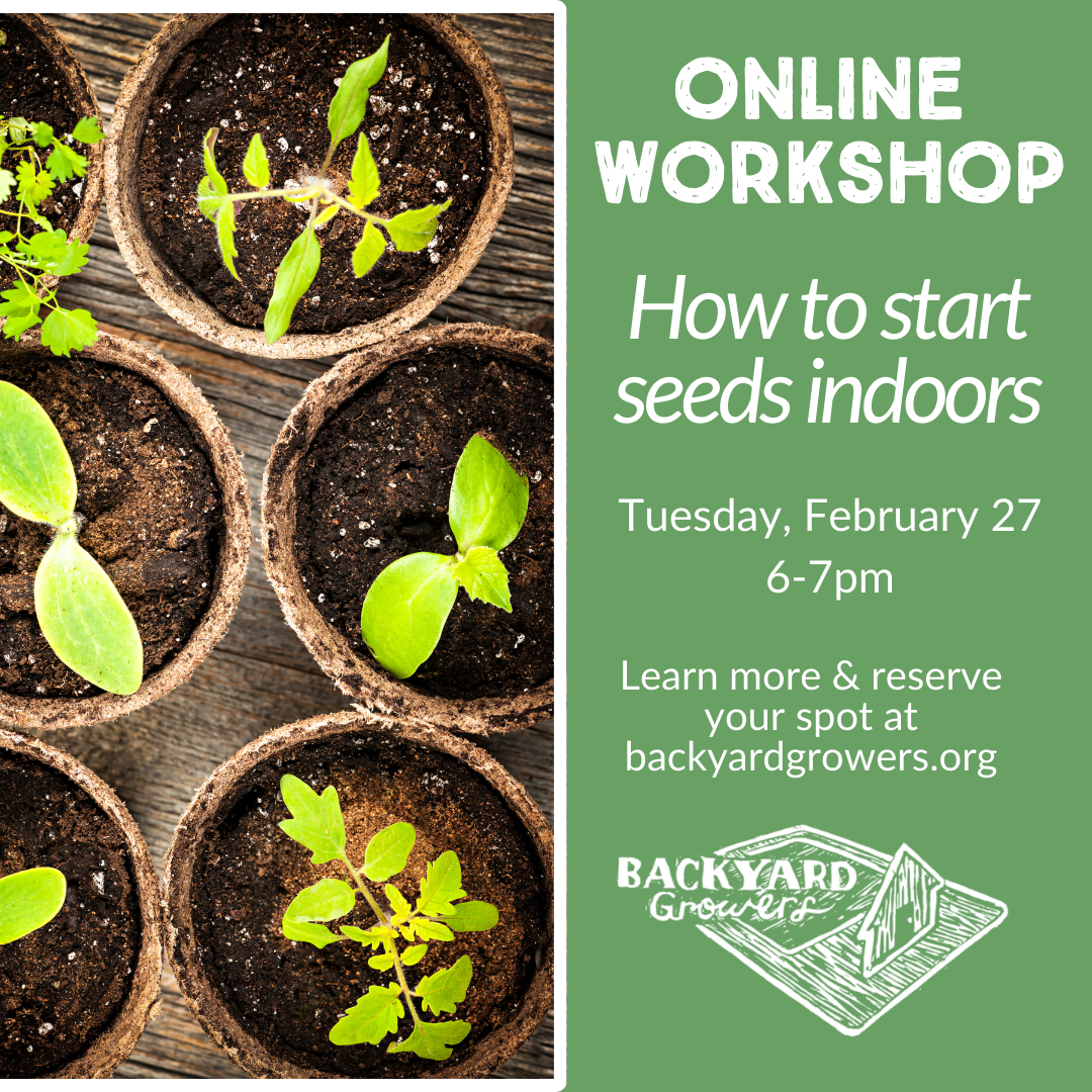 Seed-Starting Workshop & Free Seed Giveaway – Good Morning Gloucester