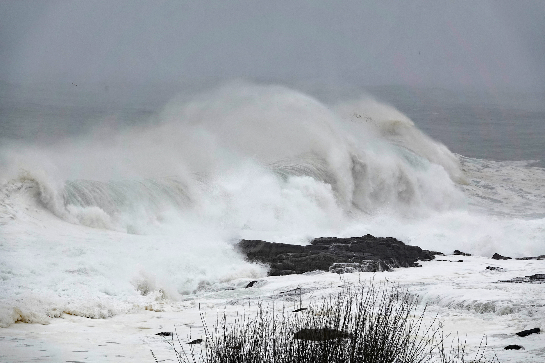 Artisanal Waves — pat morss – Good Morning Gloucester