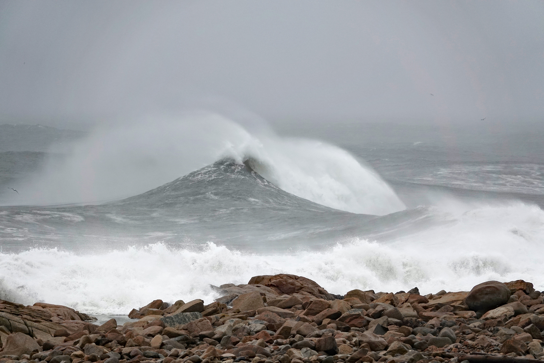 Artisanal Waves — pat morss – Good Morning Gloucester
