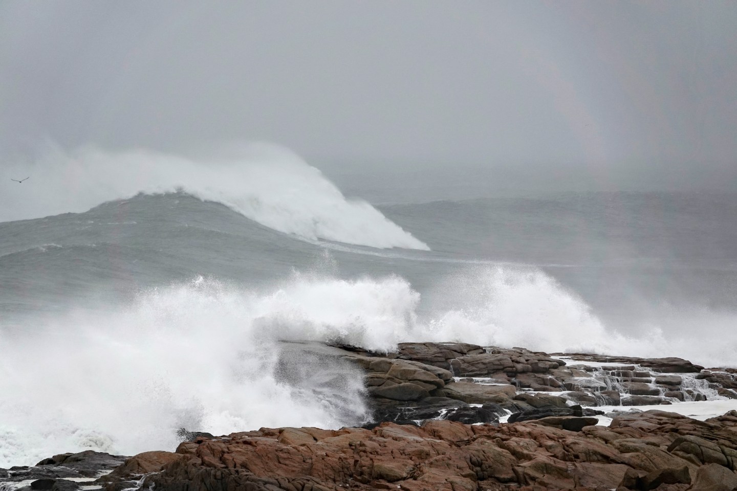 Artisanal Waves — pat morss – Good Morning Gloucester