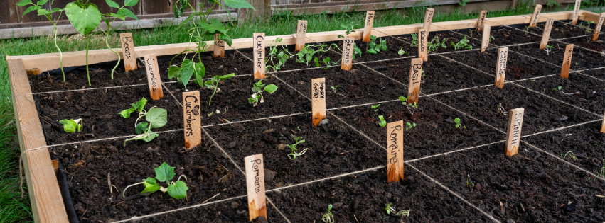 Workshops: Plan Your Vegetable Garden with Backyard Growers – Good ...