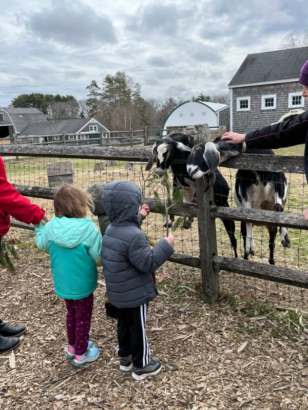 StoryTime At Appleton Farm – Good Morning Gloucester