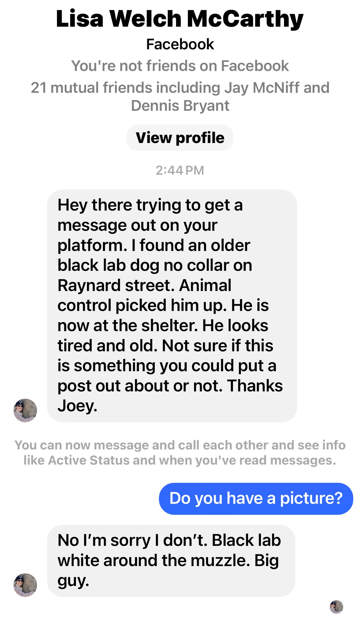 Lost Black Lab Wandering On Reynard St – Good Morning Gloucester