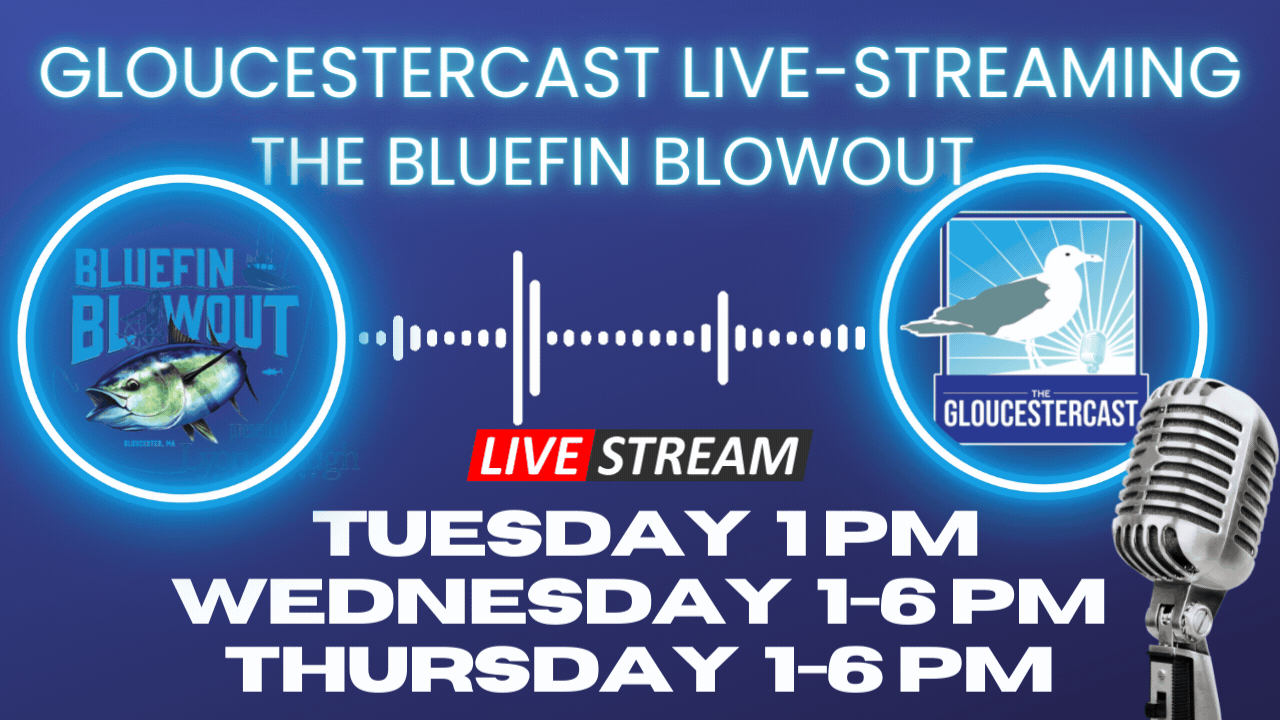 We will be livestreaming all three days of the @BluefinBlowout starting ...