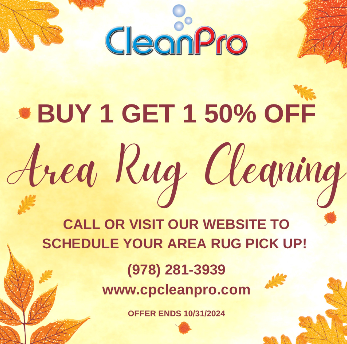 Time to Get the Sand out of Your Area Rugs with CleanPro – Good Morning ...