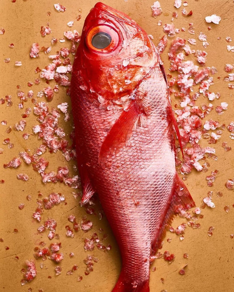 A beautiful shot by @michaelpiazzaA gorgeous Kinmedai(golden eye ...