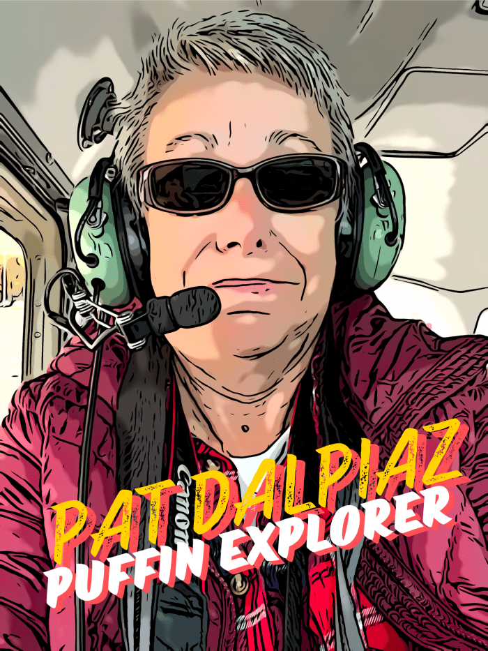 Pat Dalpiaz- on a mission to discover more puffins to photograph – Good ...