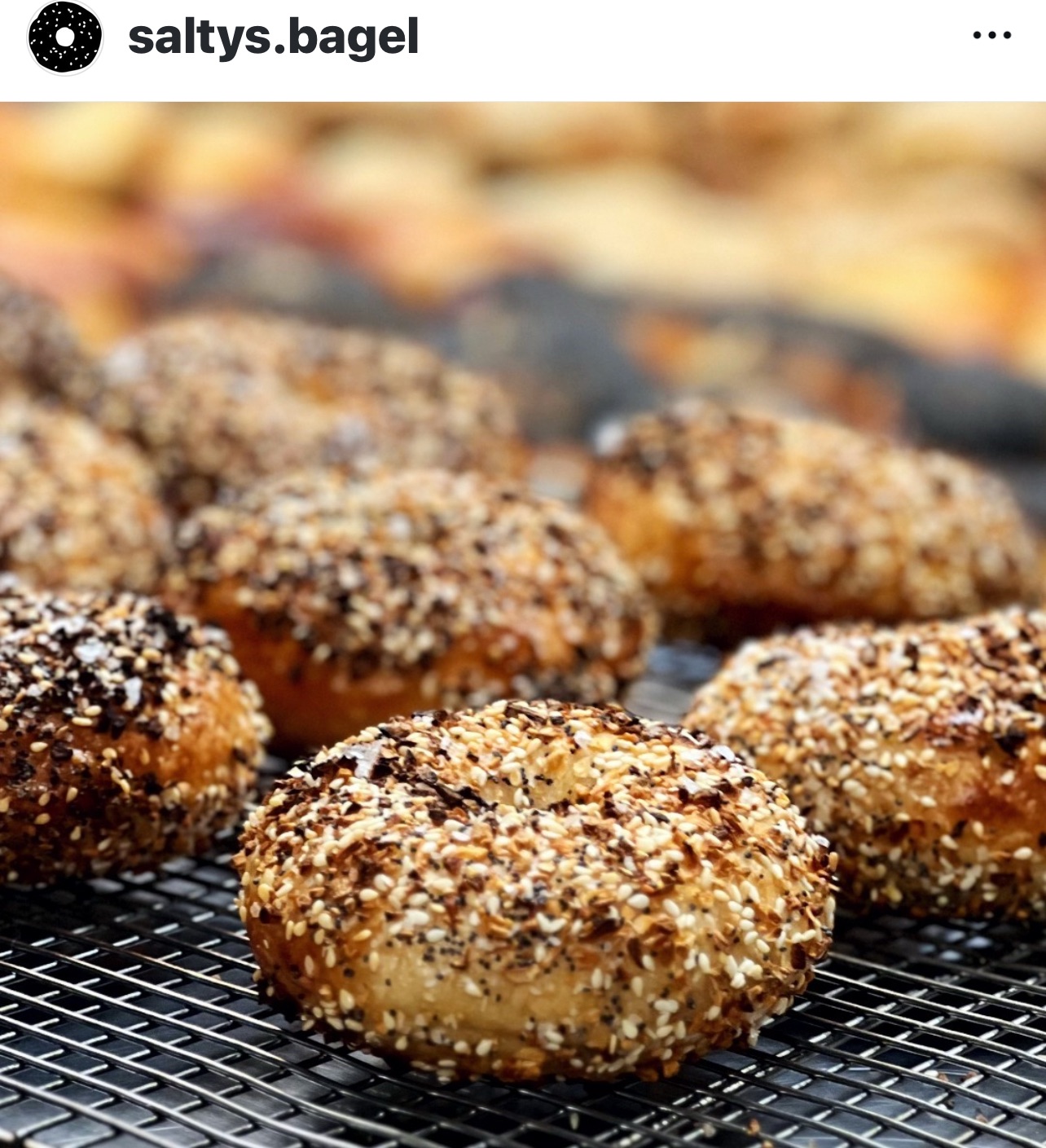 Good Morning Cape Ann Bagel Lovers! The Latest From Salty’s – Good ...