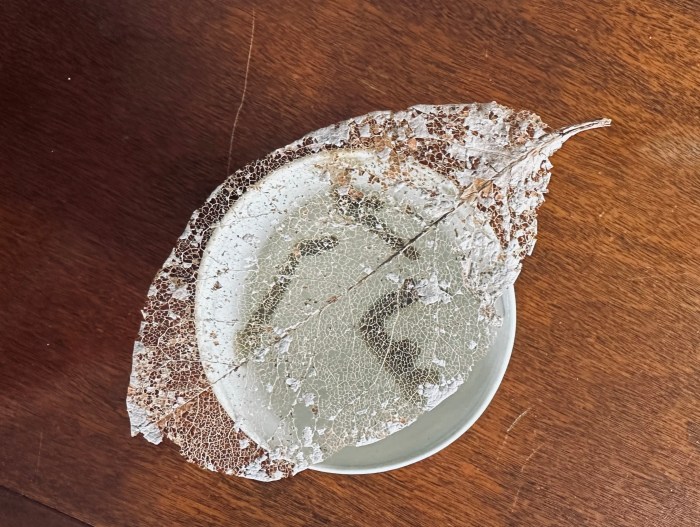 Paige Farrell Ceramics at Jane Deering Gallery: Be Light! It’s ...