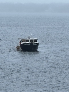 New Year’s Day Lobstering – Good Morning Gloucester