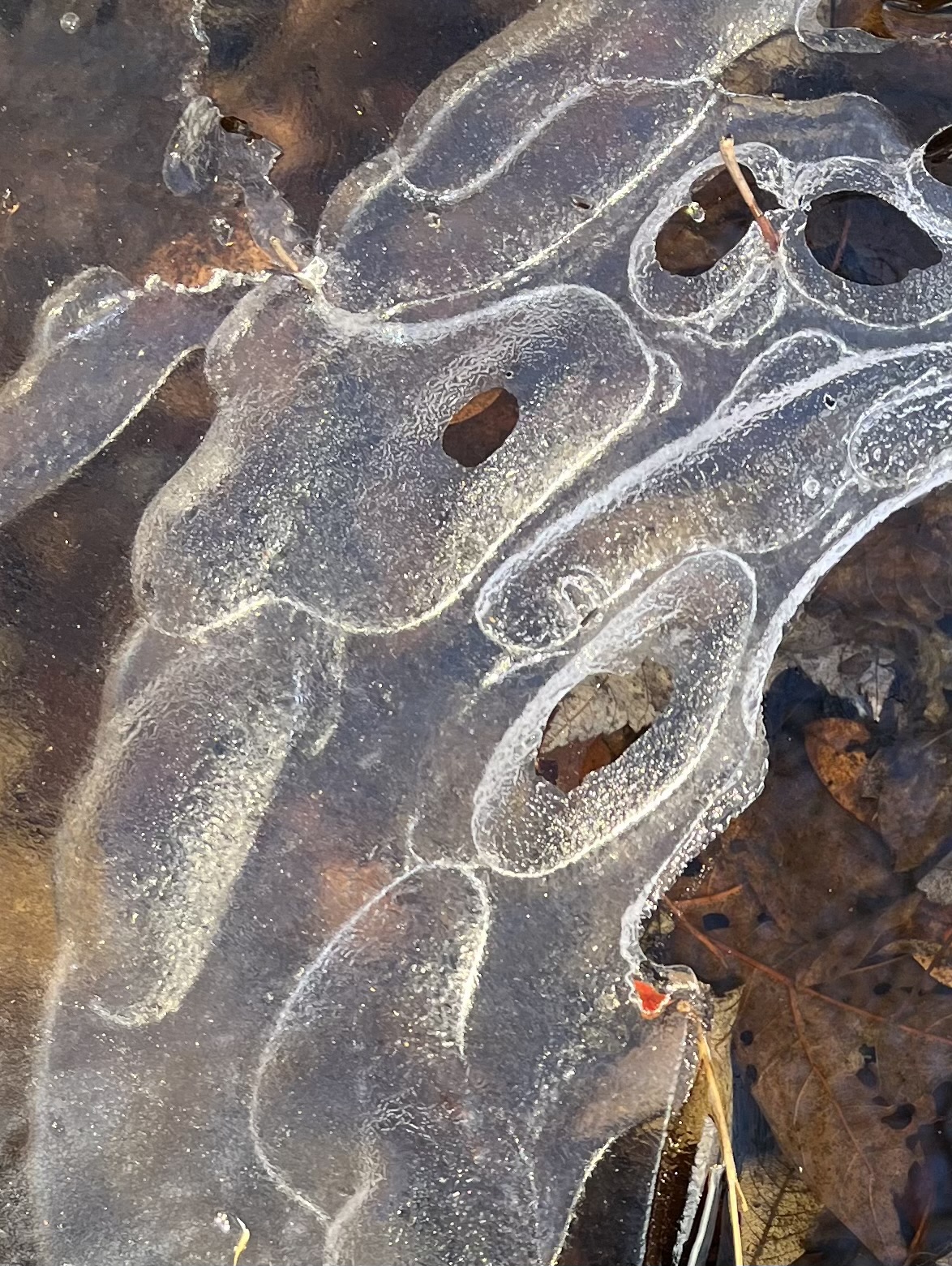 Frozen In Time – Good Morning Gloucester