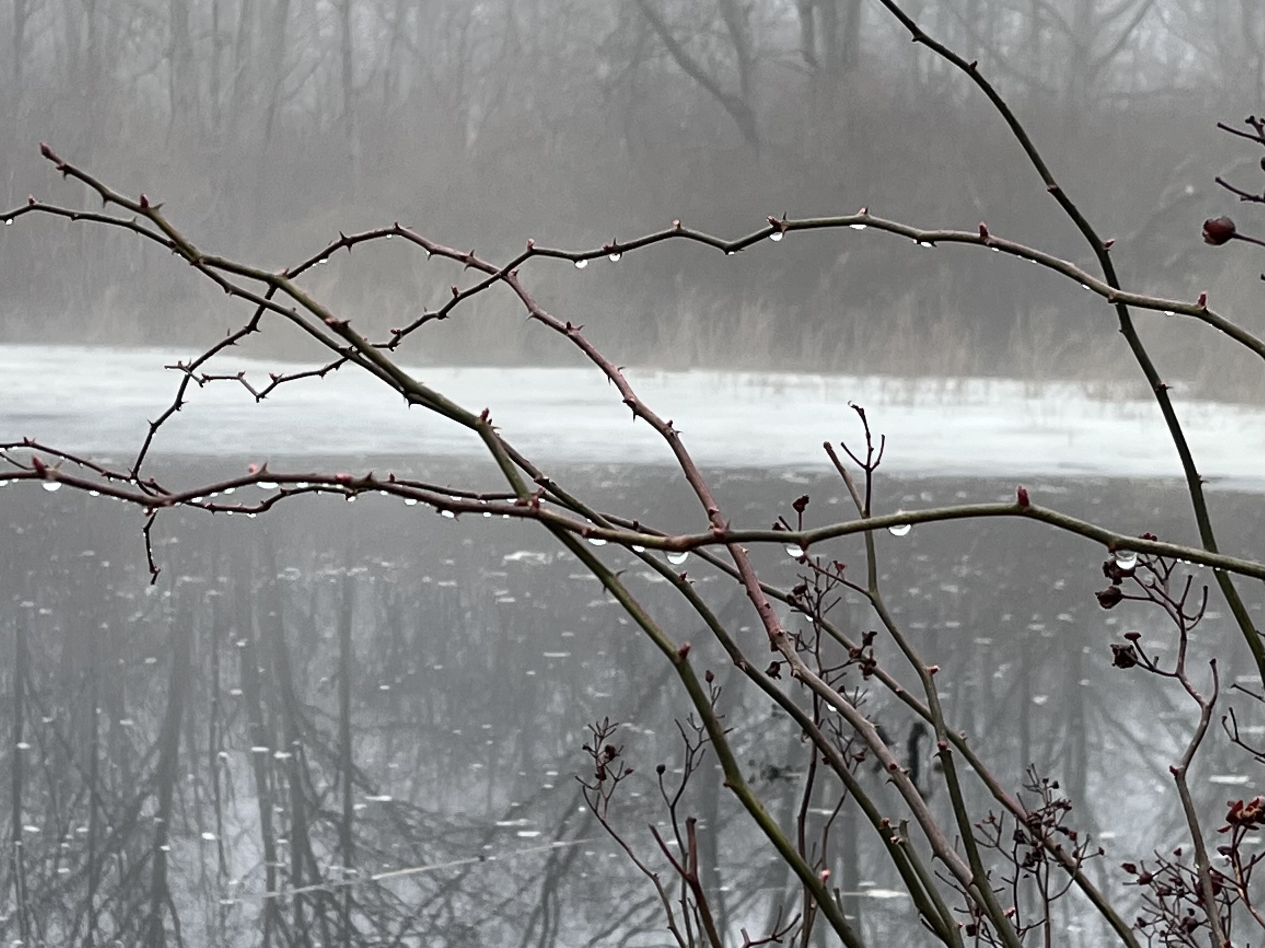 Spring Thaw – Good Morning Gloucester