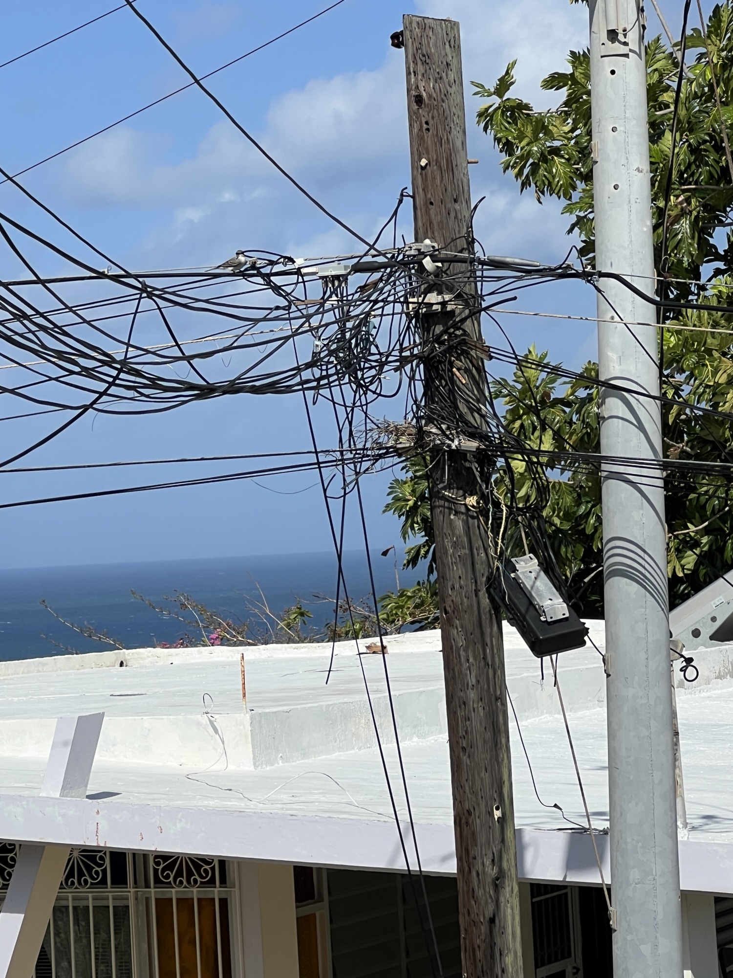 This is wild… – Good Morning Gloucester