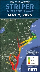 On the water Striper migration map. They’re close! – Good Morning ...