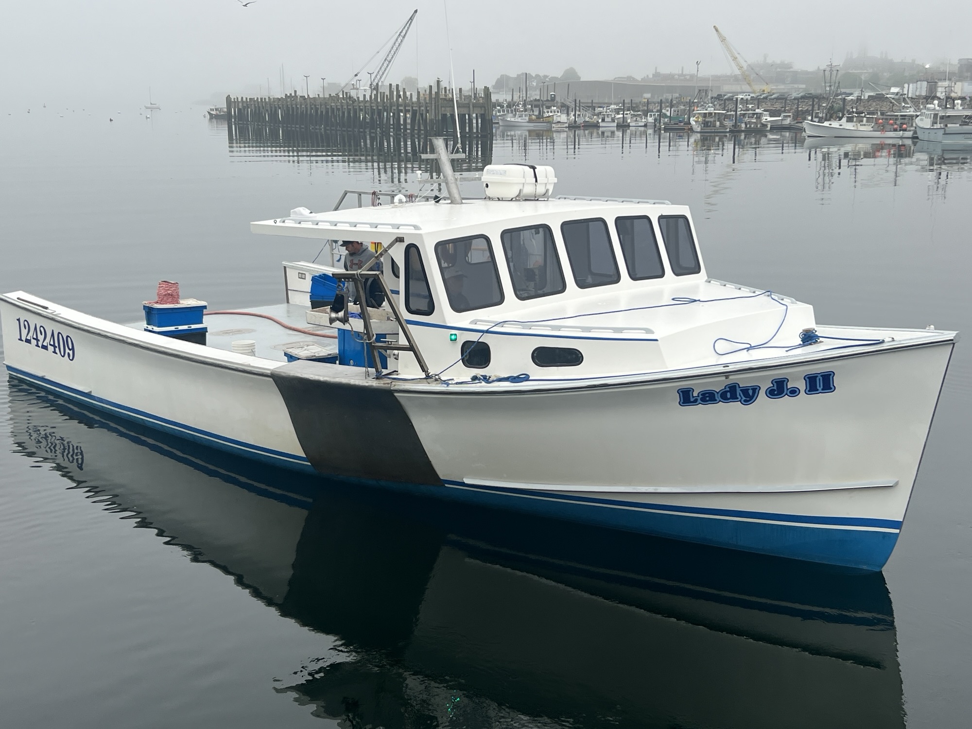 Ladies and gentleman please welcome Dave Jewell’s new lobster and ...