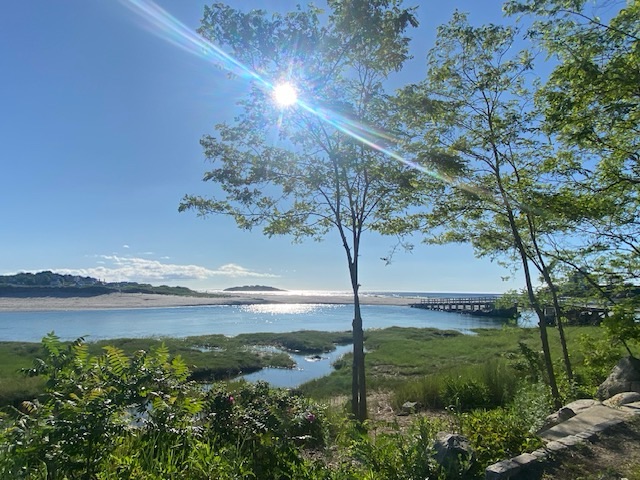 Happy summer solstice from Cat Cavallini – Good Morning Gloucester