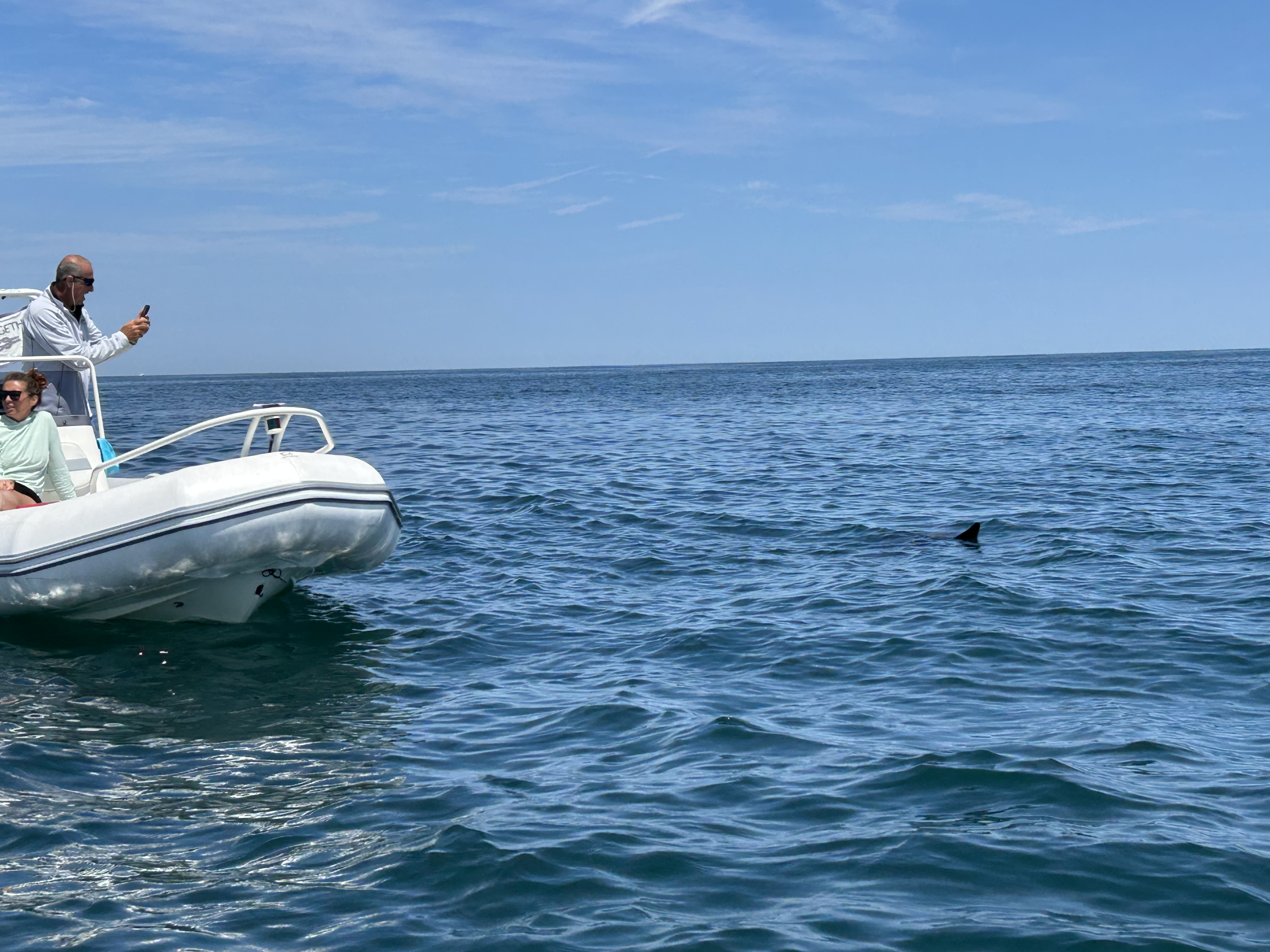 Don’t Worry, They’re OK! – Good Morning Gloucester