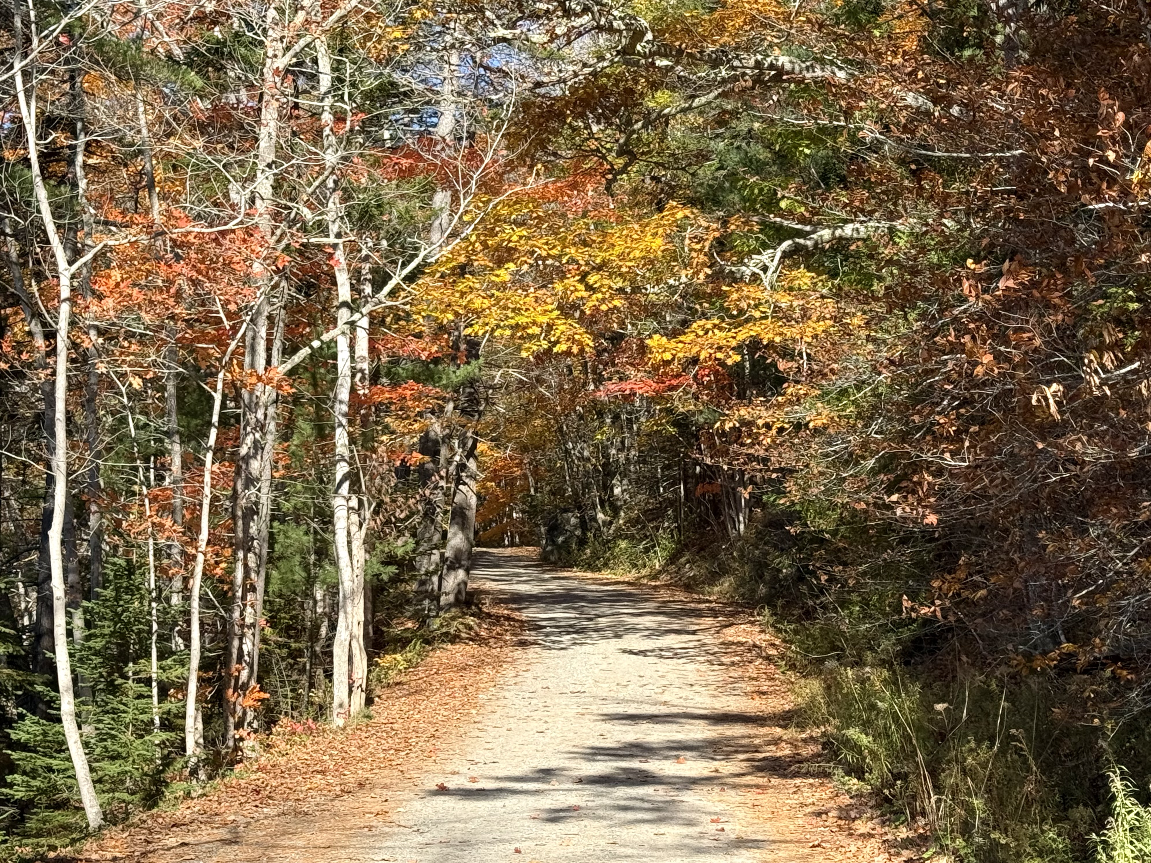 Maine Moments – Good Morning Gloucester