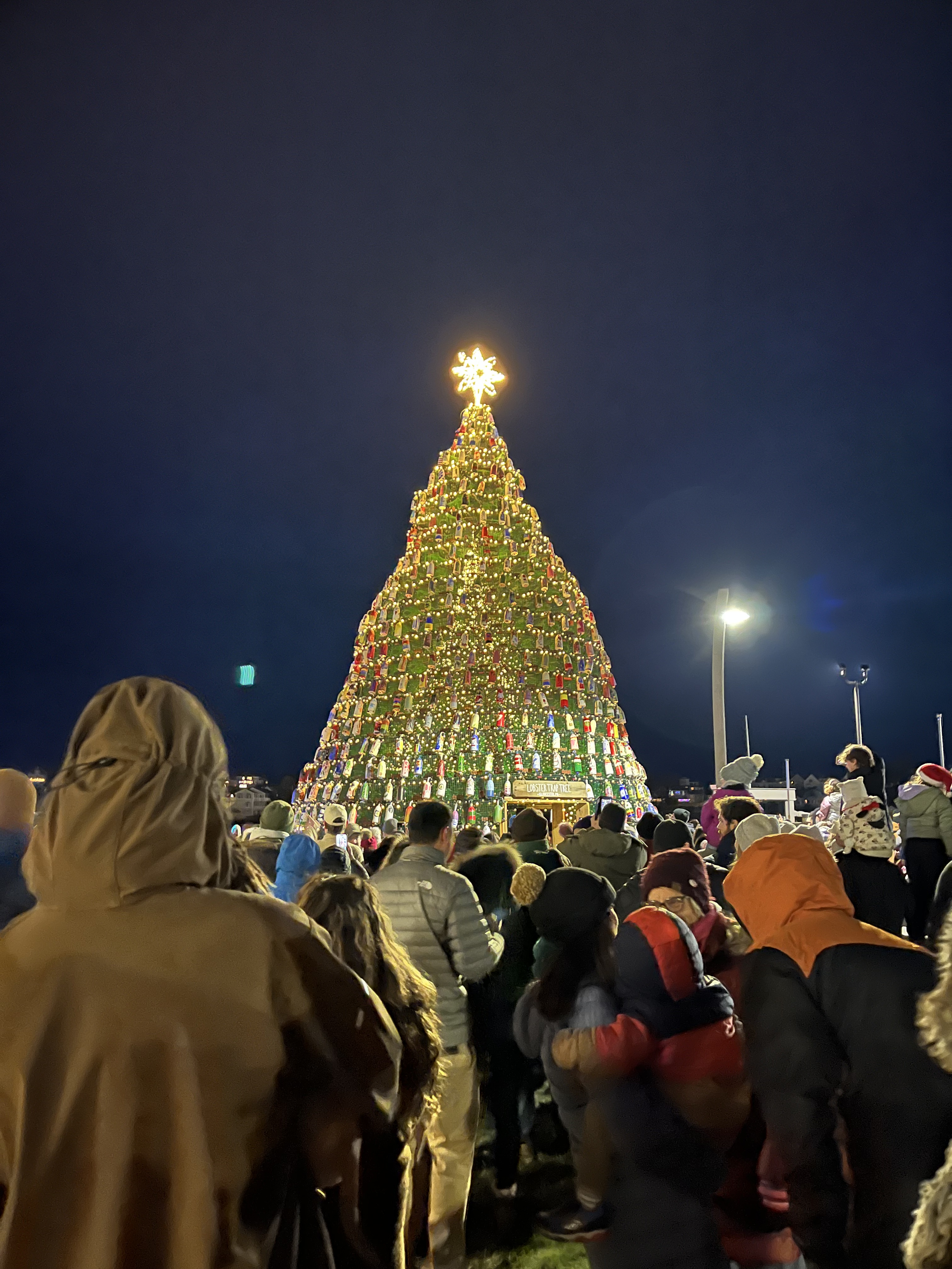 Beautiful tree beautiful crowd- Lobster Trap Tree Lighting – Good ...