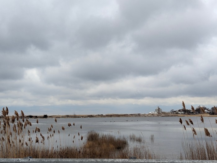 Good Harbor Beach marsh – Good Morning Gloucester
