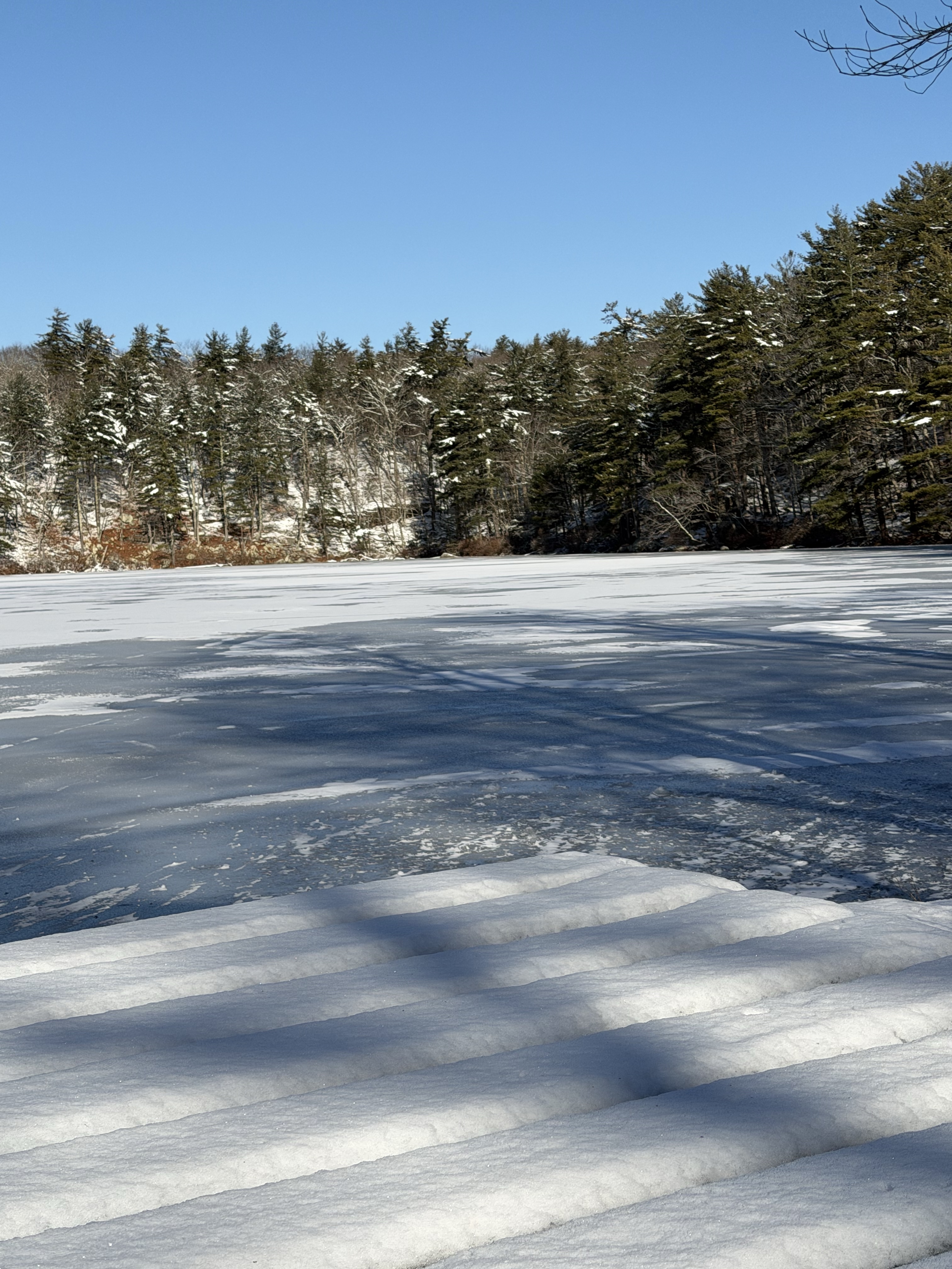 Frigid Buswell Pond – Good Morning Gloucester