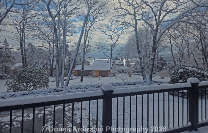 Pretty Monday Morning – Good Morning Gloucester