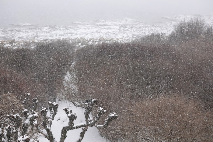 Snowstorm — pat morss – Good Morning Gloucester