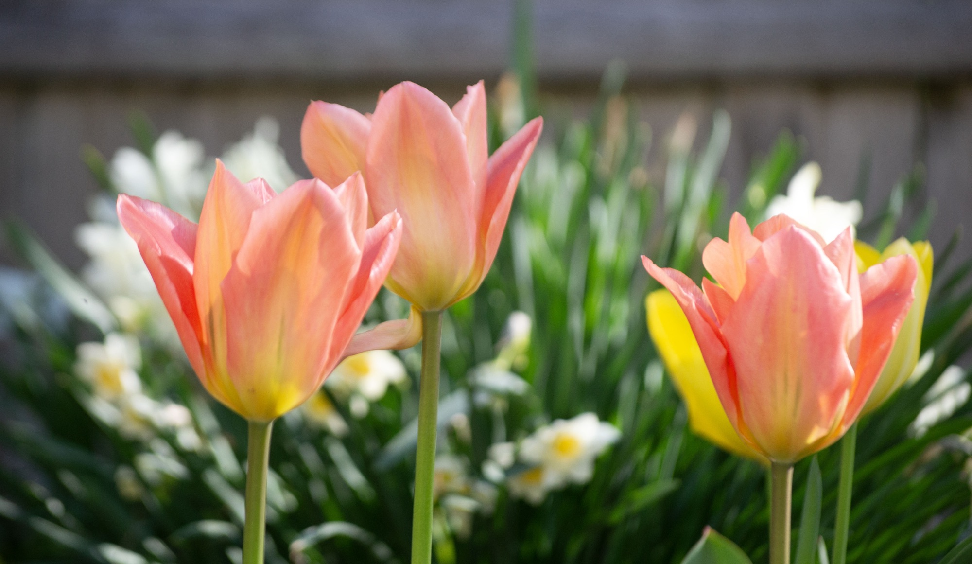 I can’t wait… – Good Morning Gloucester