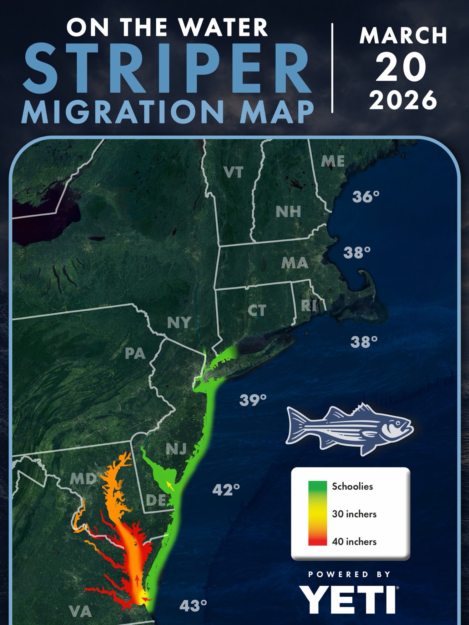 Striper Migration Map from On The Water Magazine – Good Morning Gloucester