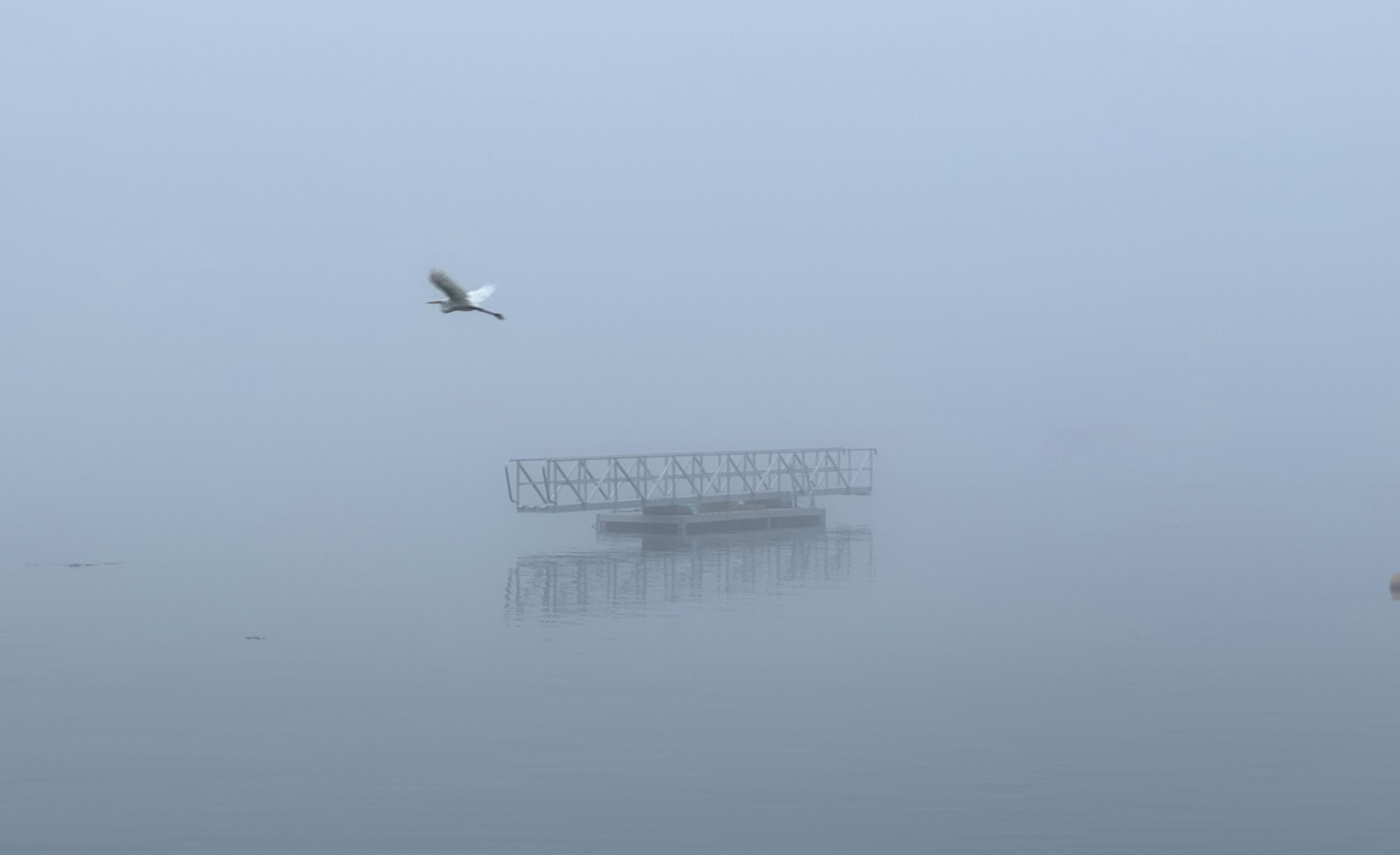 Misty morning on the Annisquam River – Good Morning Gloucester