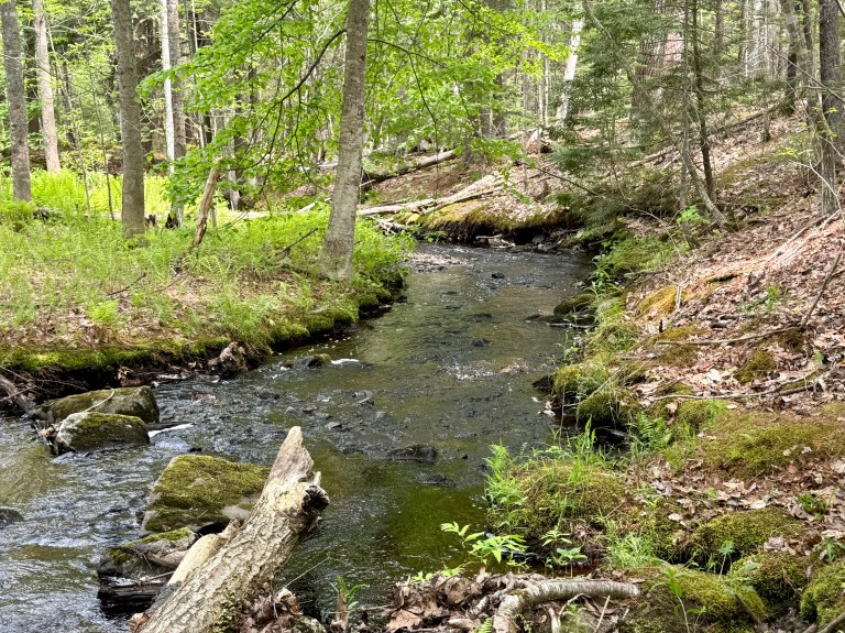 Maine Moments – Good Morning Gloucester